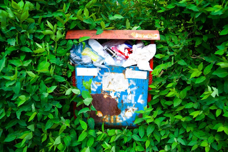 Garbage and Nature Environment Stock Photo - Image of pollution, nature ...