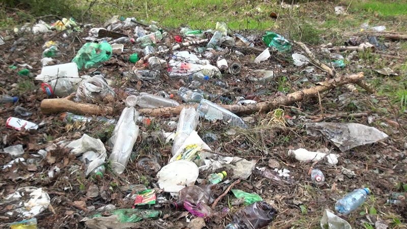Lack of Culture, People Left Garbage in the Wood. Abuse of Environment ...