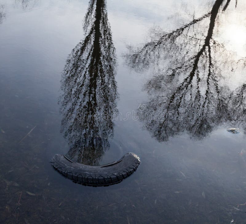Garbage, Old Tire and Reflection of the High-rise in the Water Stock ...