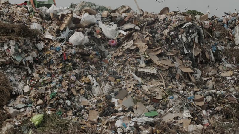 Garbage in an Open Landfill. a Dump with a Lot of Rubbish. Birds Fly ...