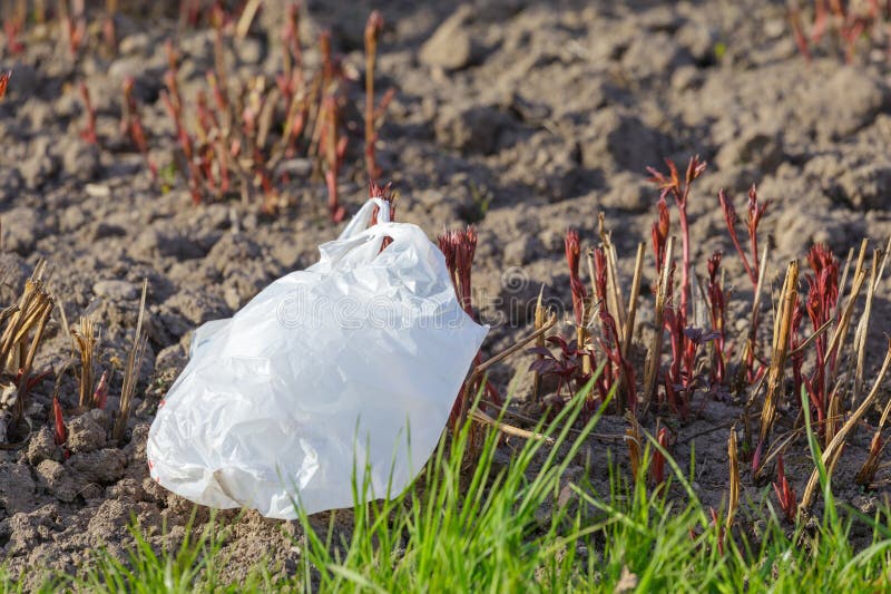 A Plastic Bag in the Form of Garbage in the Park. the Concept of ...