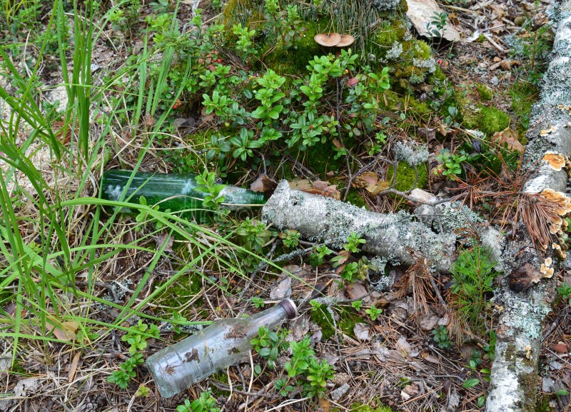 Garbage Pile of Plastic Bottles Lying among the Green Trees in the ...