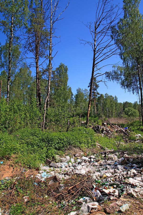 Garbage pit in wood stock photo. Image of plastic, disaster - 15209236