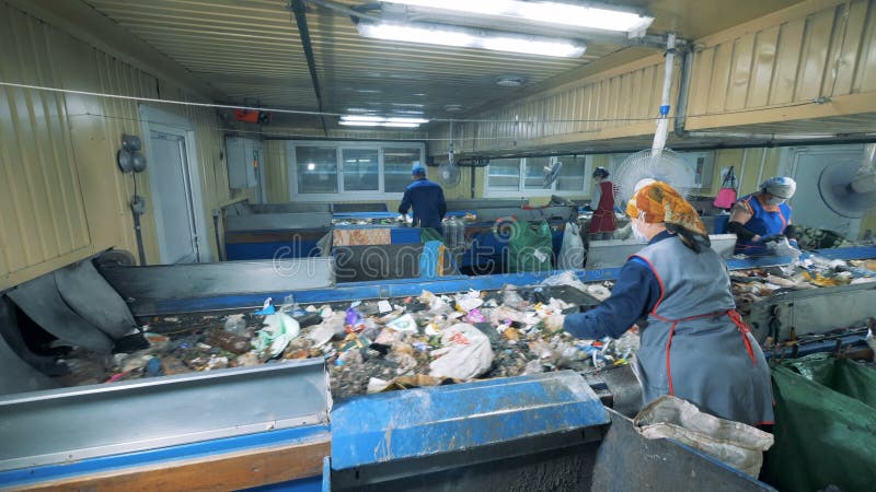 Garbage Plant with Workers. People Work at a Plant, Sorting Litter on ...