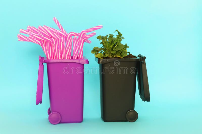 Garbage Pot Full of Plastic Straws and Other with a Natural Plant on a ...