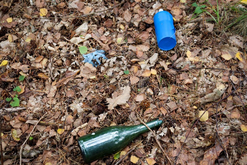 Garbage Problem in the Forest . Plastic Trash in the Forest. Tucked ...
