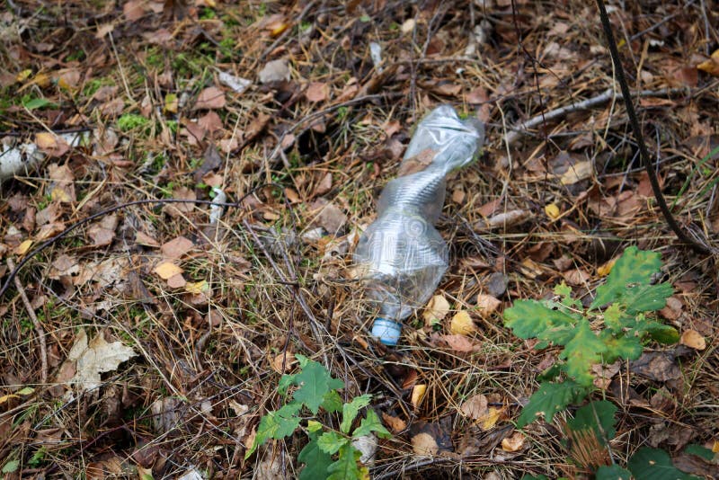 Garbage Problem in the Forest . Plastic Trash in the Forest. Tucked ...