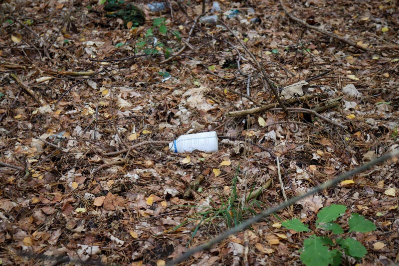 Garbage Problem in the Forest . Plastic Trash in the Forest. Tucked ...