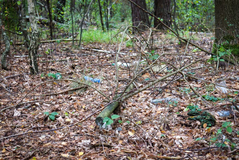 Garbage Problem in the Forest . Plastic Trash in the Forest. Tucked ...