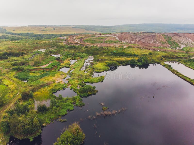 Garbage and Reflection of the Leafless Trees in Water. Environmental ...