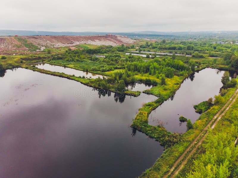 Garbage and Reflection of the Leafless Trees in Water. Environmental ...