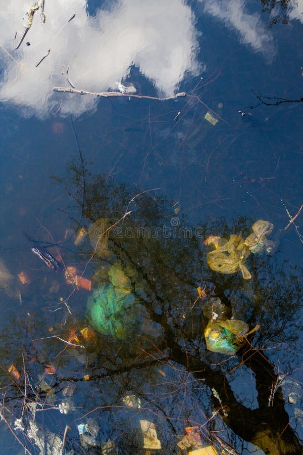 Garbage and Tree Reflections in Water Stock Photo - Image of garbage ...