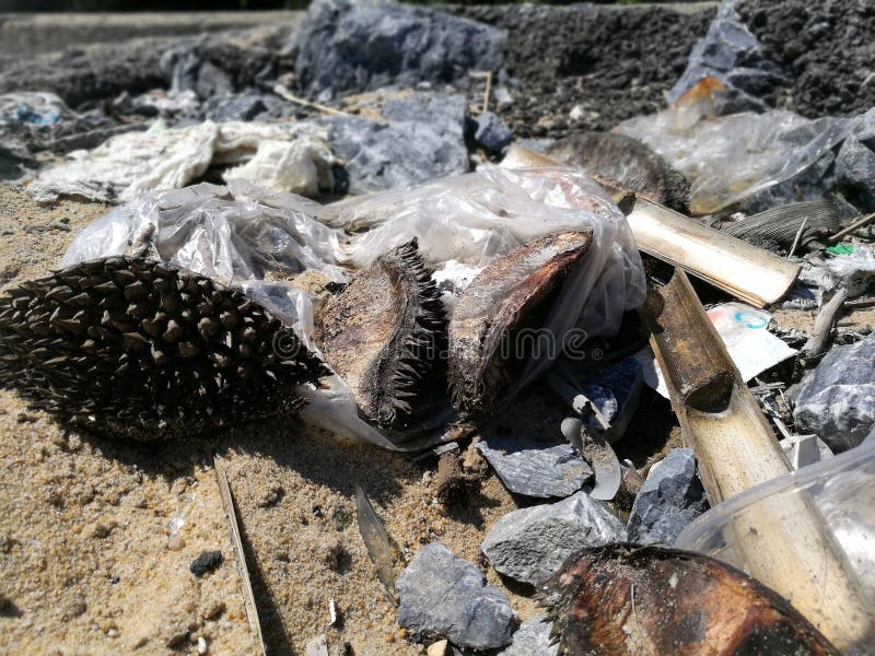 Garbage stock image. Image of garbage, pollution, rotten - 161027113