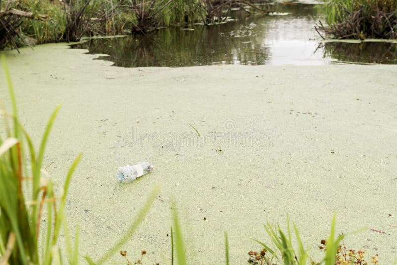 Dirty swamp of garbage stock image. Image of bottle - 103466645