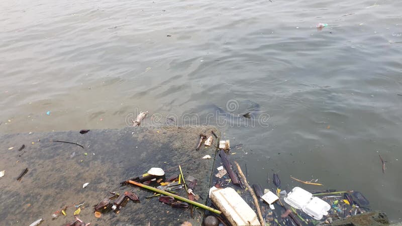 Garbage in the River, Floating Garbage Causes Water Pollution. Stock ...