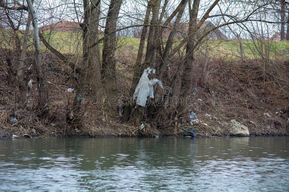 Trash by the river stock photo. Image of swamp, waterbird - 377304886