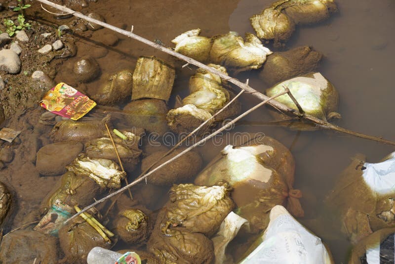 The Garbage in the River with Rock Background Editorial Photography ...