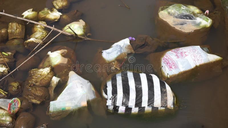 The Garbage in the River with Rock Background Stock Video - Video of ...