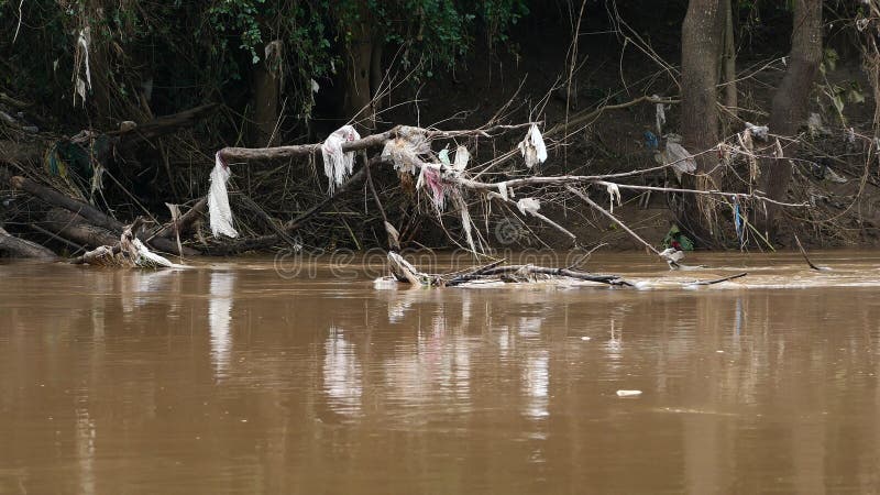 Garbage on the River. Pollution of Water Bodies. the Problem of Plastic ...