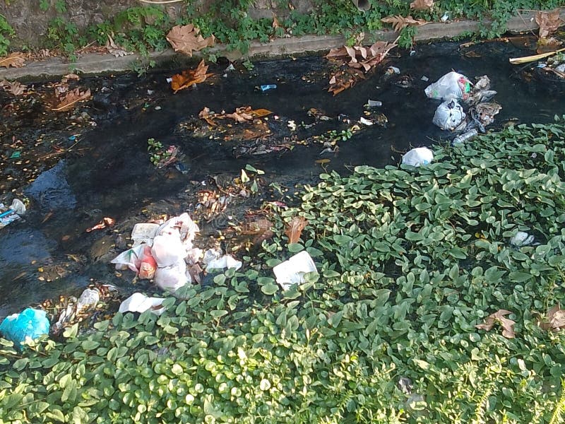Garbage in the river stock image. Image of residenst - 341345999