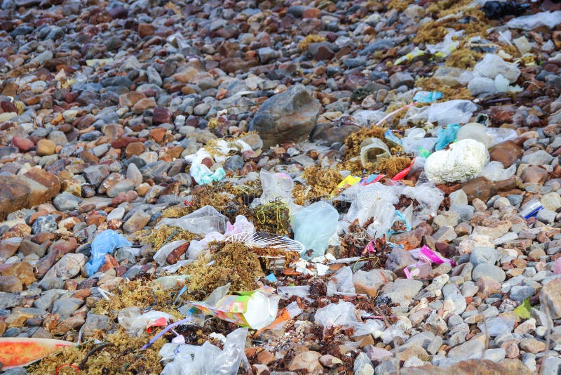 Garbage on the rock shore stock photo. Image of beach - 90080246
