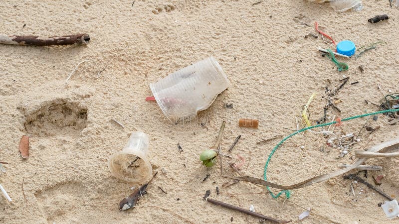Garbage on sand beach stock photo. Image of environment - 187481042