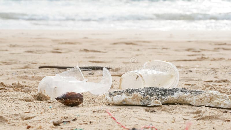 Garbage on sand beach stock photo. Image of ecology - 187481050