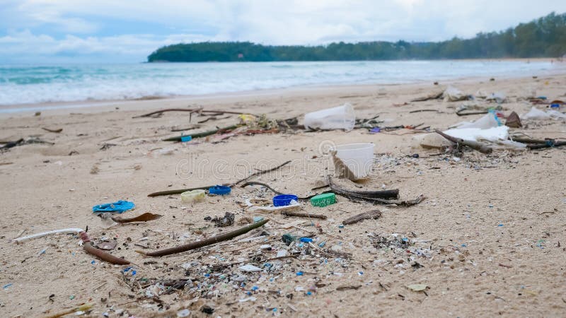 Garbage on sand beach stock image. Image of environment - 187481103