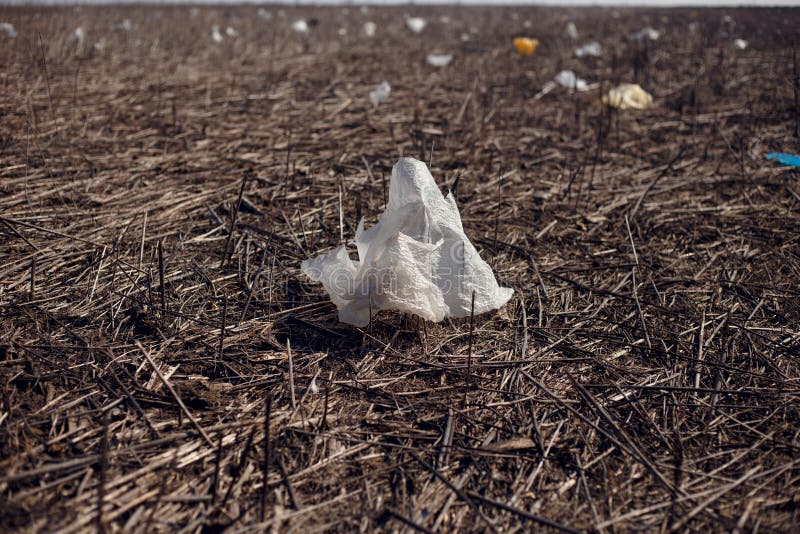 View of a Garbage Scattered on the Field, in the Foreground a White ...