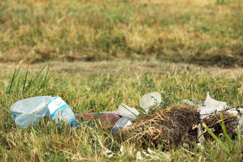 Garbage Scattered on Grass. Environment Pollution Problem Stock Photo ...