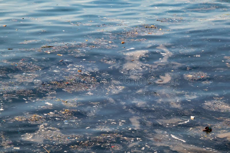 Garbage on the sea surface stock image. Image of ecosystem - 220470049