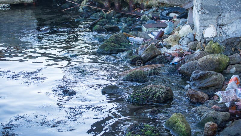 Garbage on the seashore. editorial photo. Image of environment - 260588691