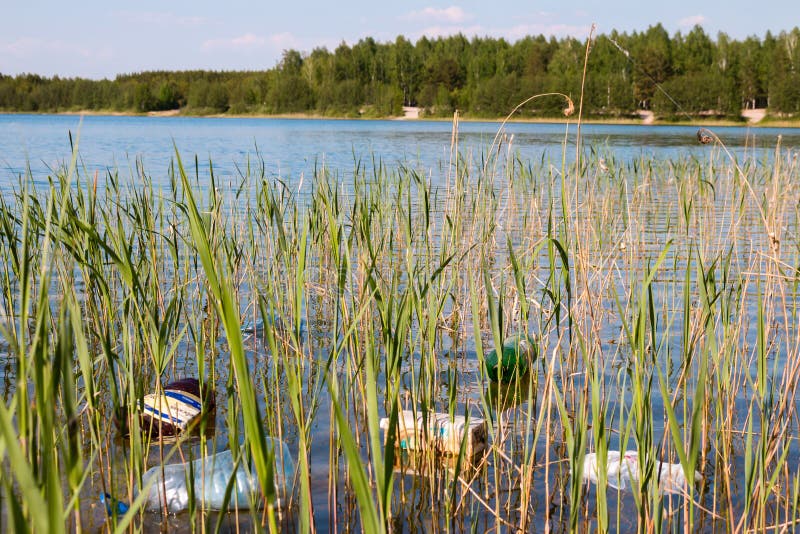Garbage on Shore of the Lake Stock Photo - Image of conservation ...