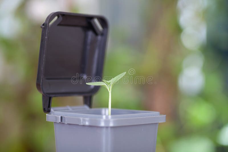 A Man with a Garbage Bag Opens the Hatch of the Garbage Chute and ...