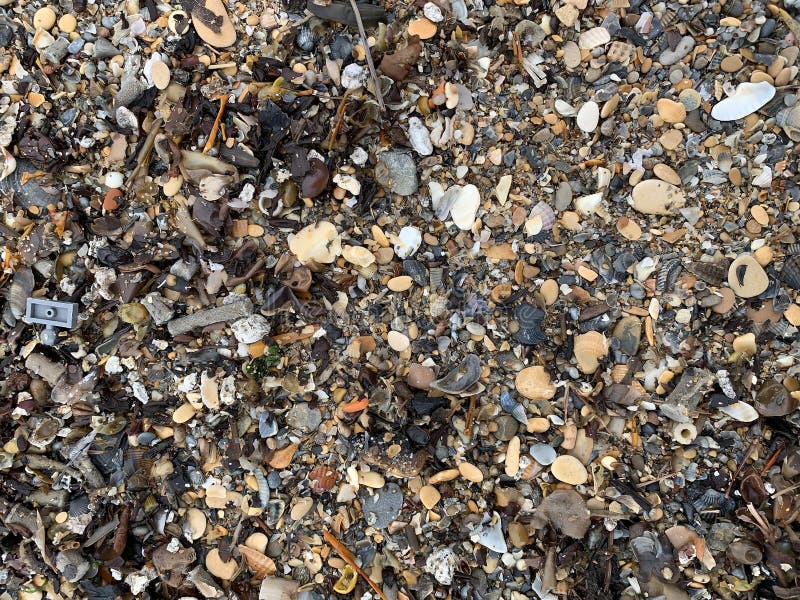 Garbage after the Surf on the Seashore Stock Image - Image of scrap ...