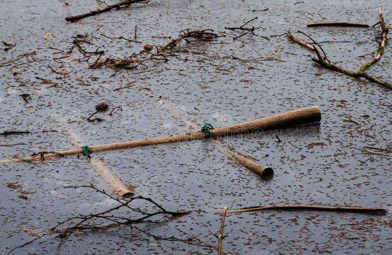 Garbage is Thrown Everywhere, Posing a Danger To Nature, Which Will Not ...