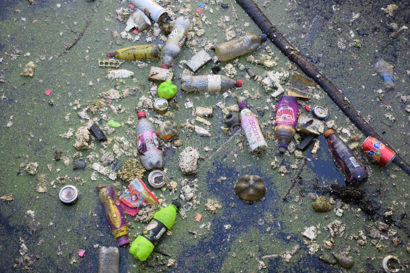 Garbage Trash Pollution in Lake Editorial Stock Image - Image of animal ...