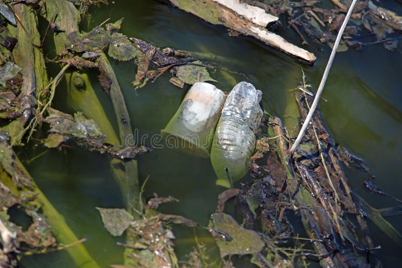 Garbage and Trash in the Water Stock Photo - Image of group, sitting ...