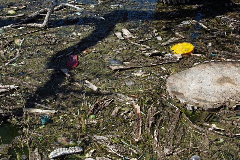 Garbage and Trash in the Water Stock Photo - Image of people, shore ...