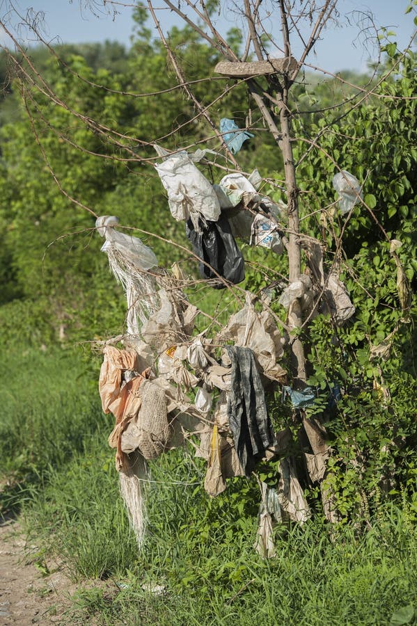 Garbage on tree stock image. Image of aluminum, ecology - 42236205