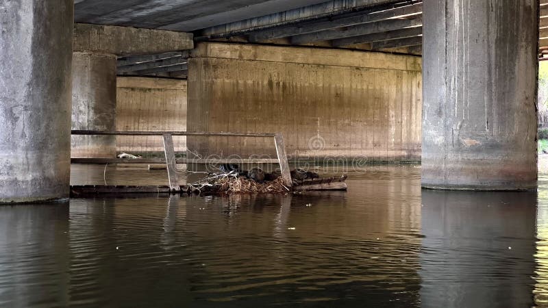 Garbage Under the Bridge in the Middle of the Reservoir Stock Video ...