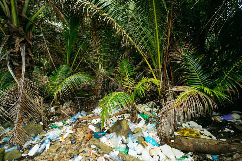 Garbage Under Palm Trees on the Shore Pollution Stock Photo - Image of ...