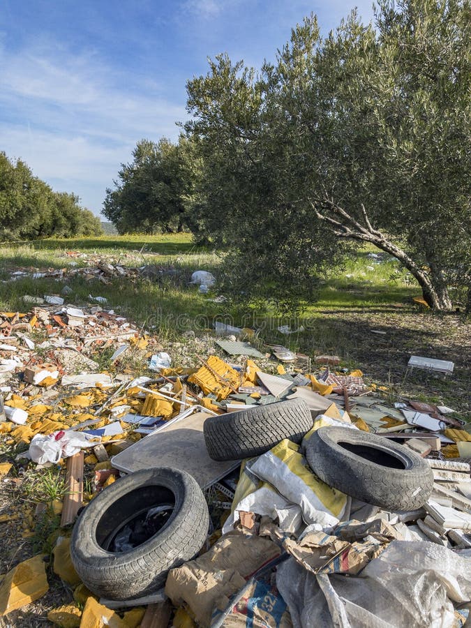 Garbage and Used Materials Dumped into the Forest, Contaminating a ...