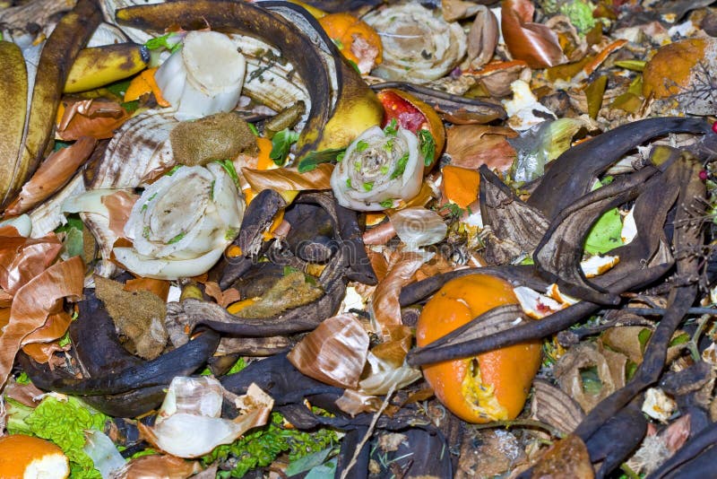 Garbage vegetable stock image. Image of recycle, skin - 8205477