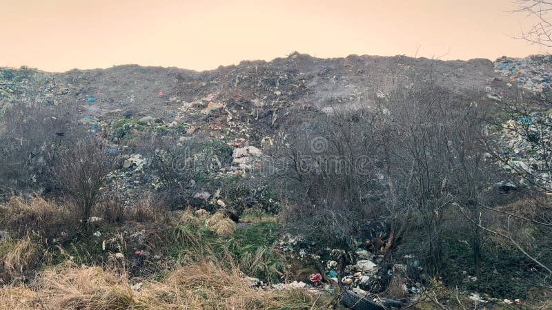 Wrong, Harmful To Nature and People - Toxic Smoke Stock Footage - Video ...