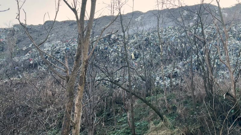 Wrong, Harmful To Nature and People - Toxic Smoke Stock Video - Video ...