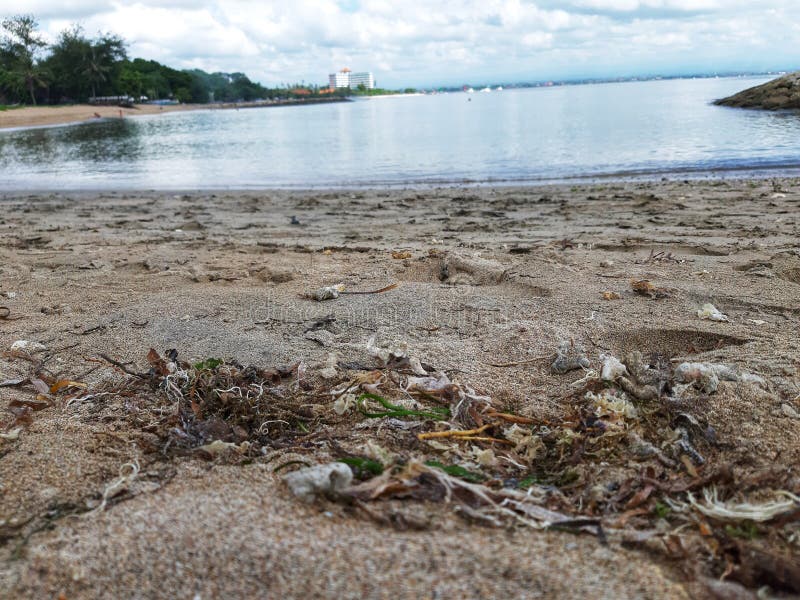 The Garbage Washed Up on the Beach Stock Image - Image of 2021, messy ...