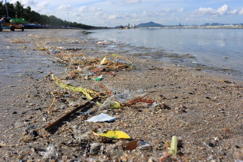 Garbage from the sea. 3 stock image. Image of shore - 273086237
