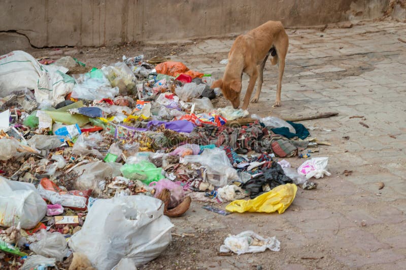 Garbage Waste Items and Plastic Begs Liter in Open at Day from ...