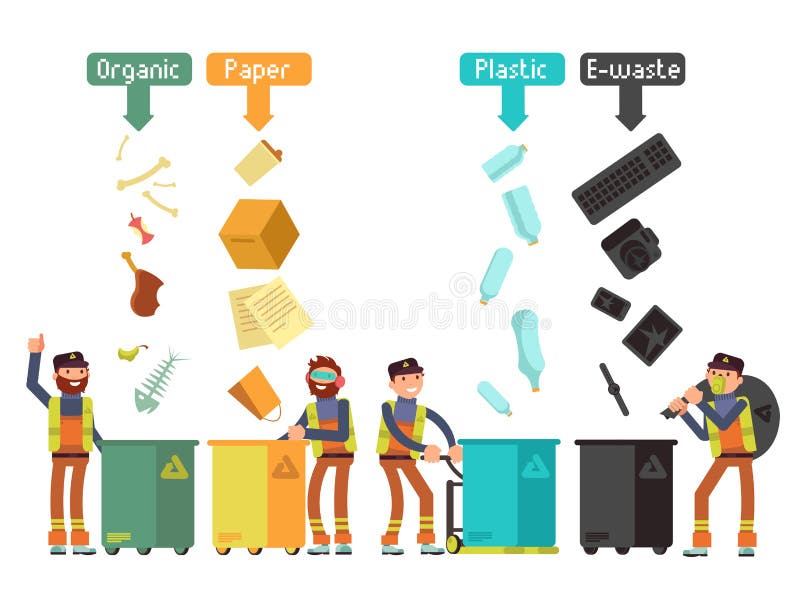 Waste Segregation and Recycling Infographic Stock Vector - Illustration ...